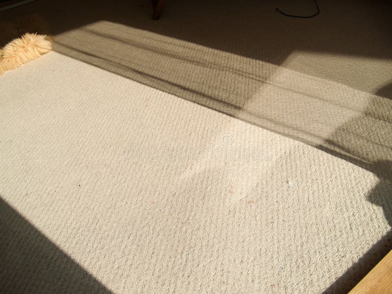 Long Shadows on Bright Carpet Stock Image - Image of light, ground ...