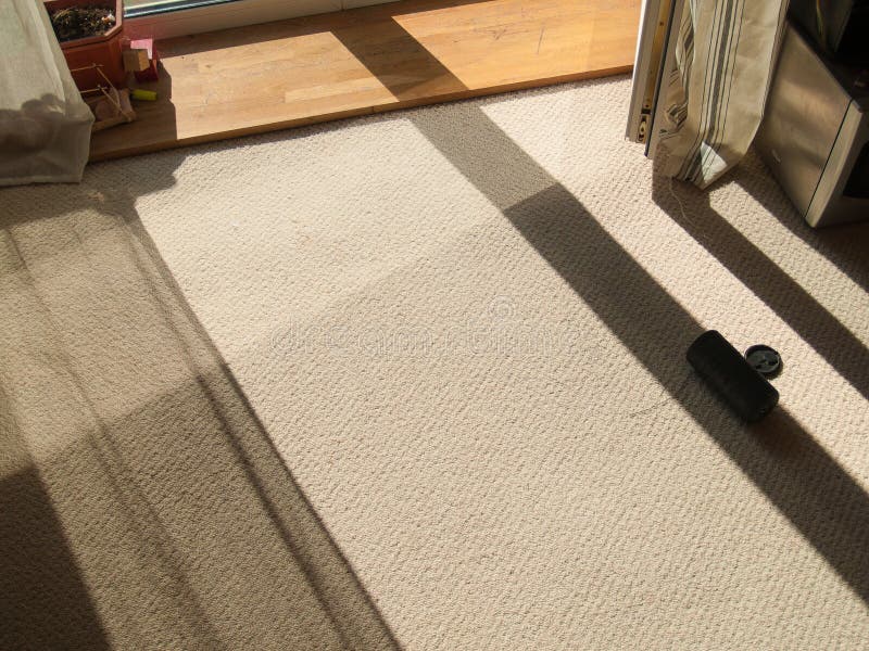 Long Shadows on Bright Carpet Stock Photo - Image of long, light: 124563588