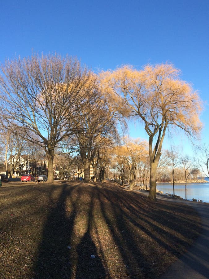 LONG SHADOWS from a SETTING SUN in Len Ford Park in Toronto, Ontario ...