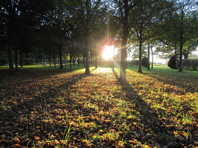 Long Shadows stock photo. Image of sunrays, sunset, sunlight - 129802268