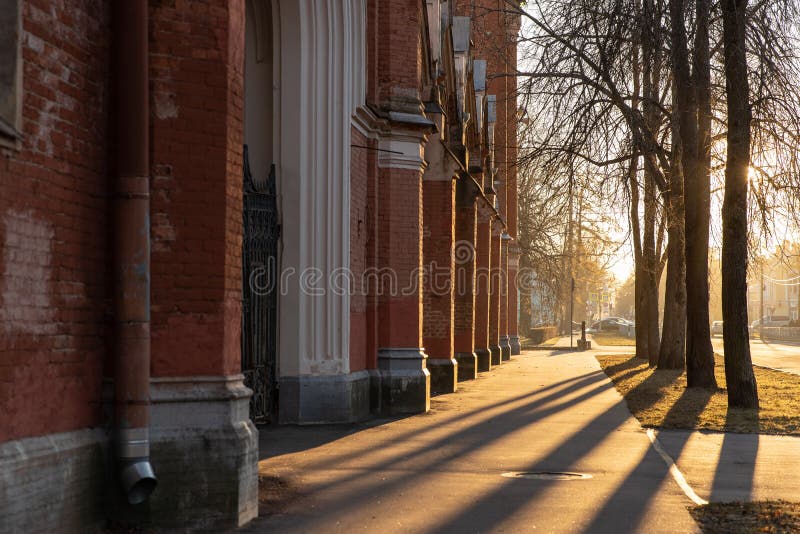 Long Shadows from Trees on the Asphalt. Evening Sunset in the City ...