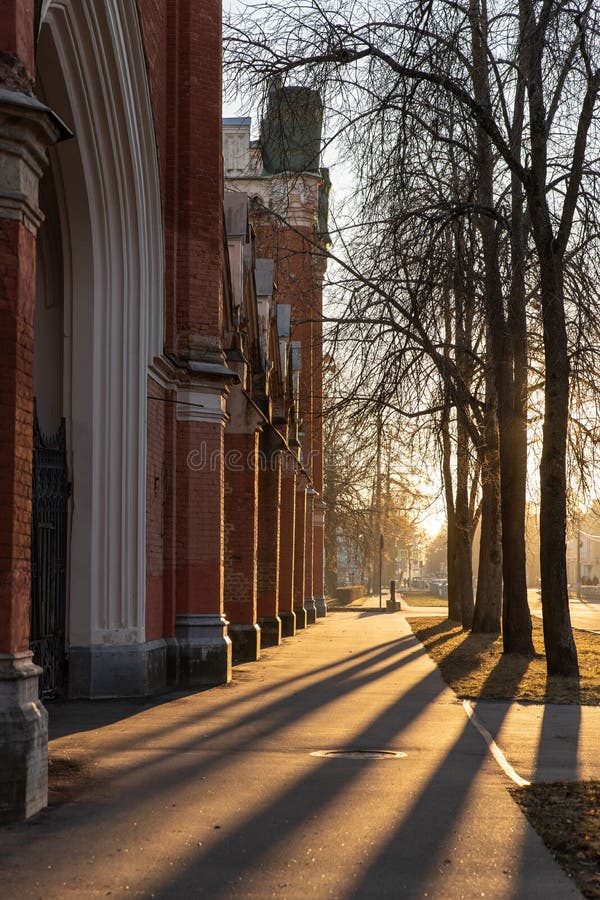 Long Shadows from Trees on the Asphalt. Evening Sunset in the City ...