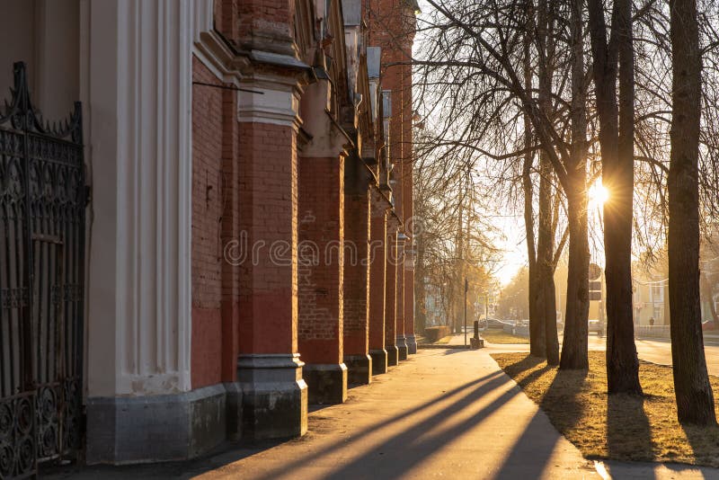 Long Shadows from Trees on the Asphalt. Evening Sunset in the City ...