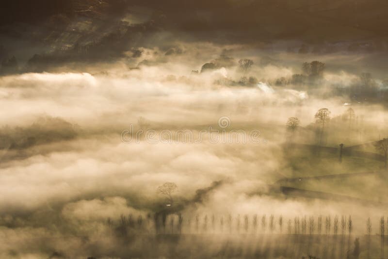 Long Shadows of Trees Emerging through Fog in a Beautiful Rural Valley ...