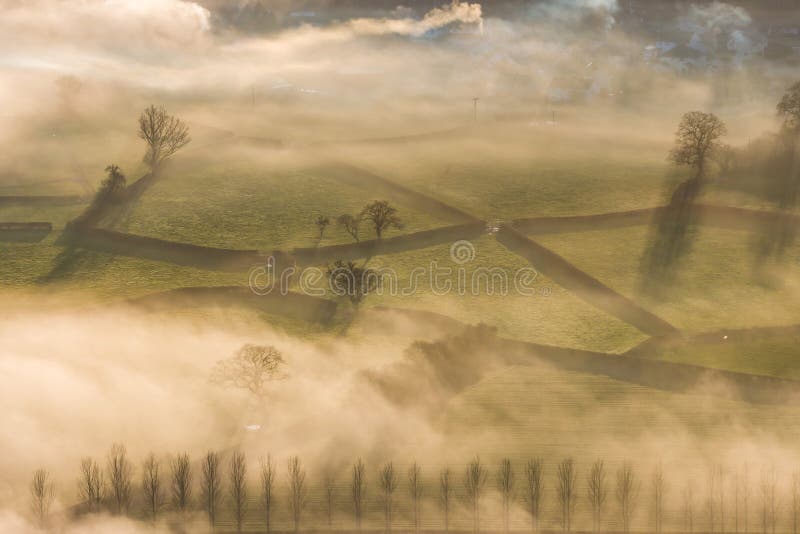 Long Shadows of Trees Emerging through Fog in a Beautiful Rural Valley ...