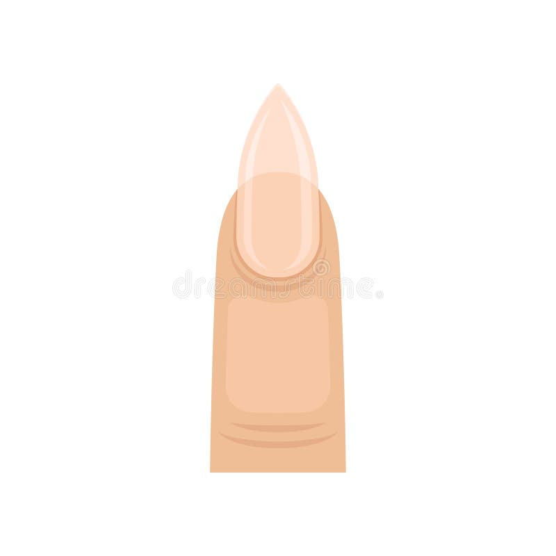 Long Sharp Nail. Vector Illustration on White Background Stock Vector ...