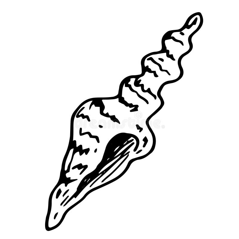 Long Shell Icon. Drawn in Doodle Style, a Long Shell with a Pattern of ...