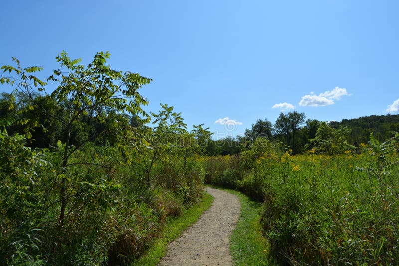Long Shot of a Dirt Path through Tall Grasses on a Prairie in the ...