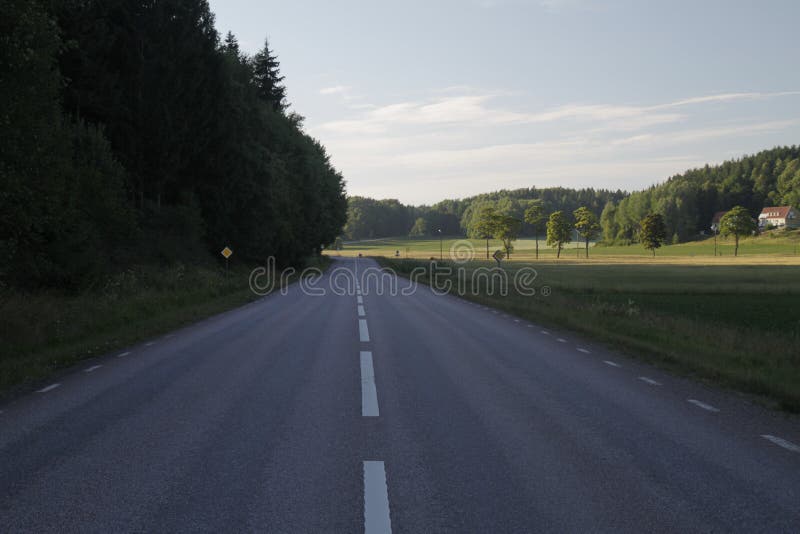 Long Shot of an Empty Road with Trees and Greenery on the Side of the ...