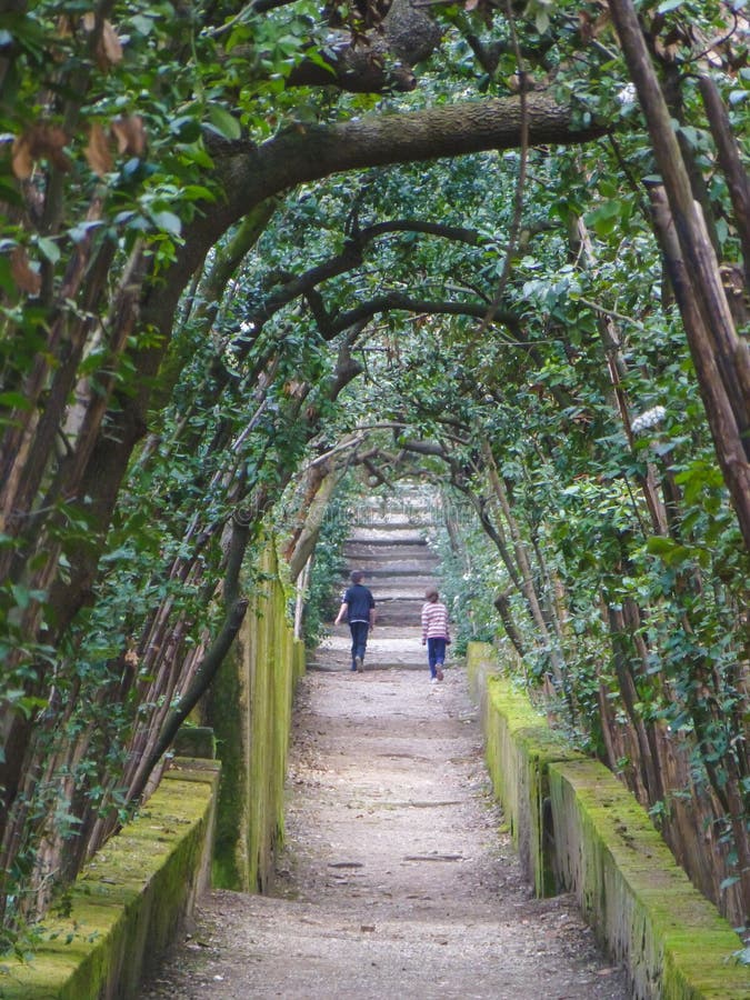 Long Shot F a Tree Tunnel Bridge with a Couple Walking on it Editorial ...
