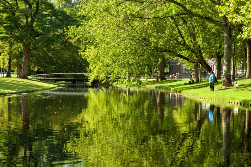 Long Shot of a Pond Set in a Park with Reflections of Trees Around it ...