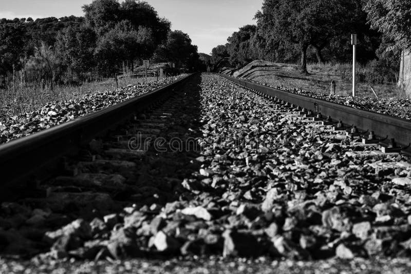 Long Shot of Railroad Tracks and Ballast Lined with Trees in Grayscale ...