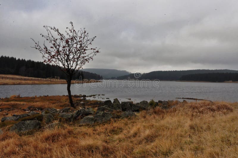 Long shot view of the lake stock image. Image of green - 91974457