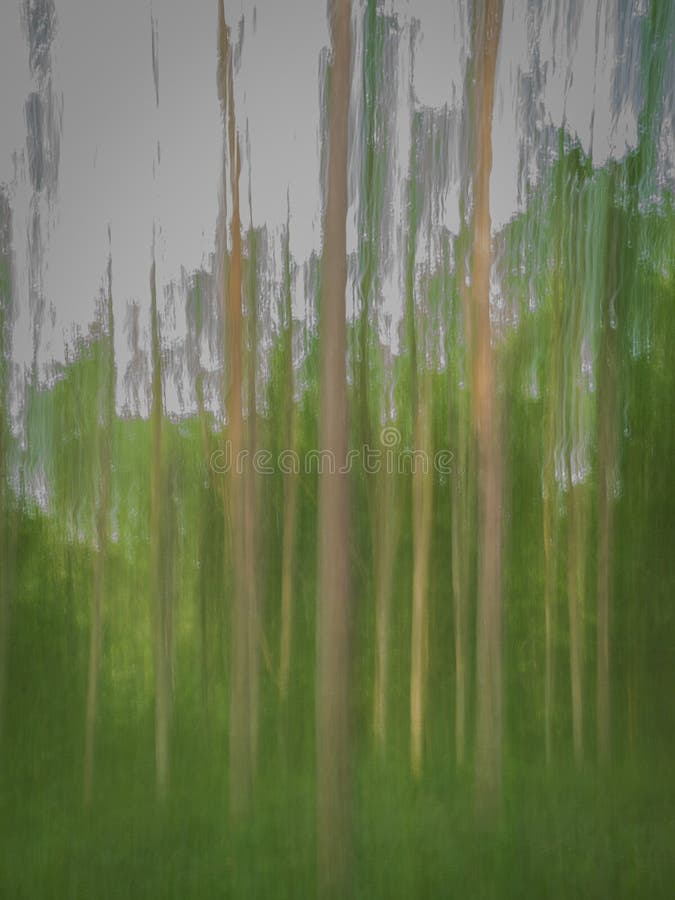 Long shutter speed of tree stock image. Image of decorative - 123240663