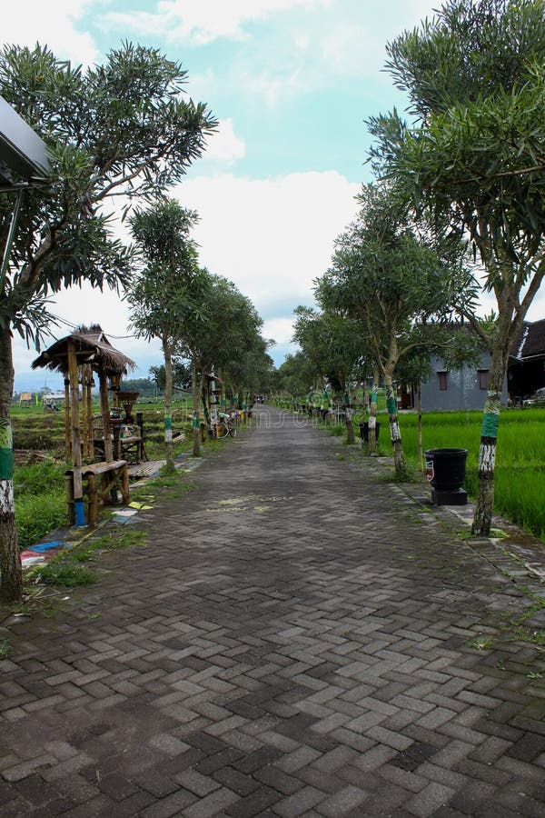 Long path stock photo. Image of road, landscape, natural - 216841004