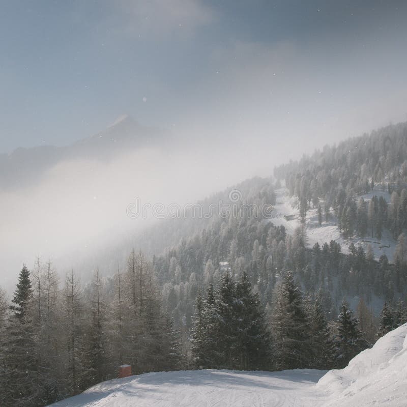 Long slope among trees stock photo. Image of landscape - 29697684