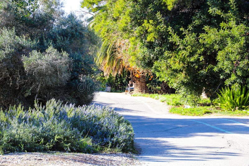 A Long Smooth Paved Concreate Walking Path with Two Women Sitting on a ...