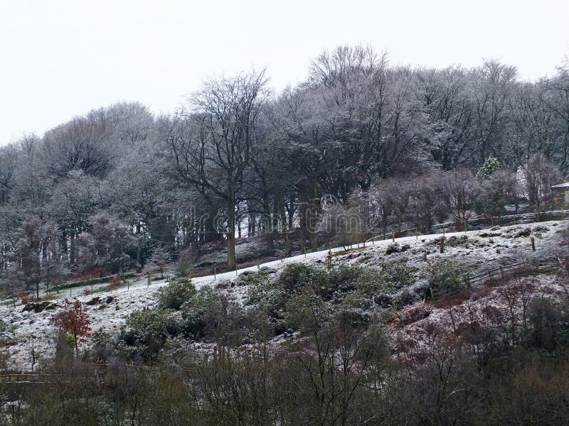 Long Snow Scene with Ice on Frozen Forest Tree Tops and Hillside Fields ...