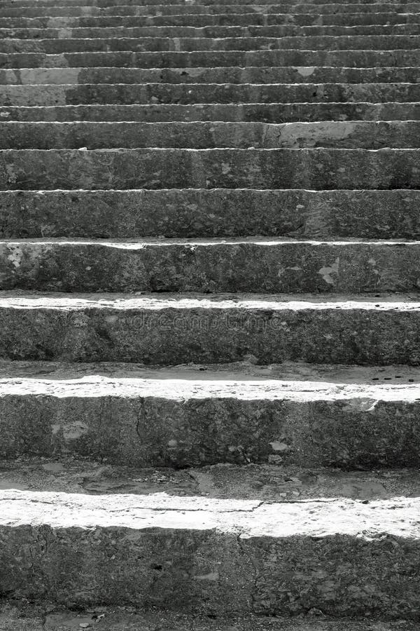A Long Infinity Pool with Palm Trees and Ocean Views in a Sunny Resort ...