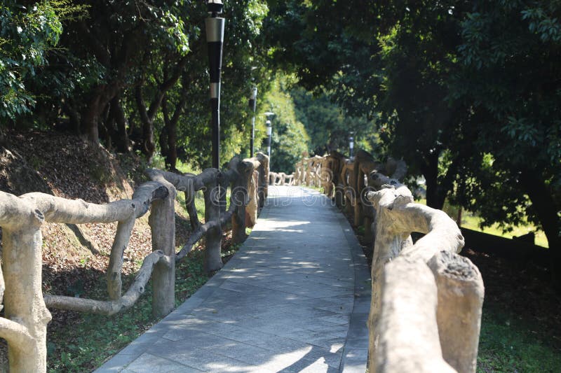 The Long Stone Path in the Park is Lined with Wooden Railings, Leading ...