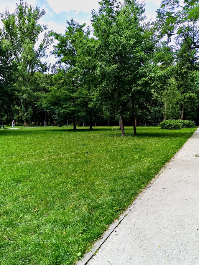 Long Stony and Sandy Path in Park Full of High Green Trees Stock Photo ...