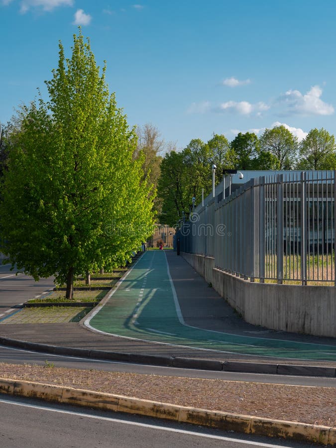 Long and Straight Bike Path with a Row of Trees beside it Stock Photo ...
