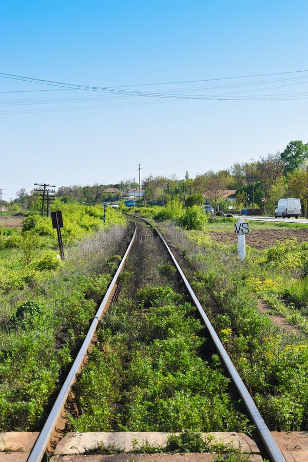 Long Straight Rails with Vegetation Stock Photo - Image of horizon ...
