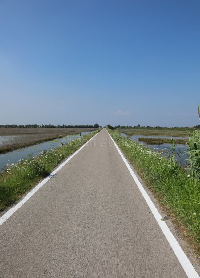 Long Straight Road Going through a Flat Field during the Summer with No ...