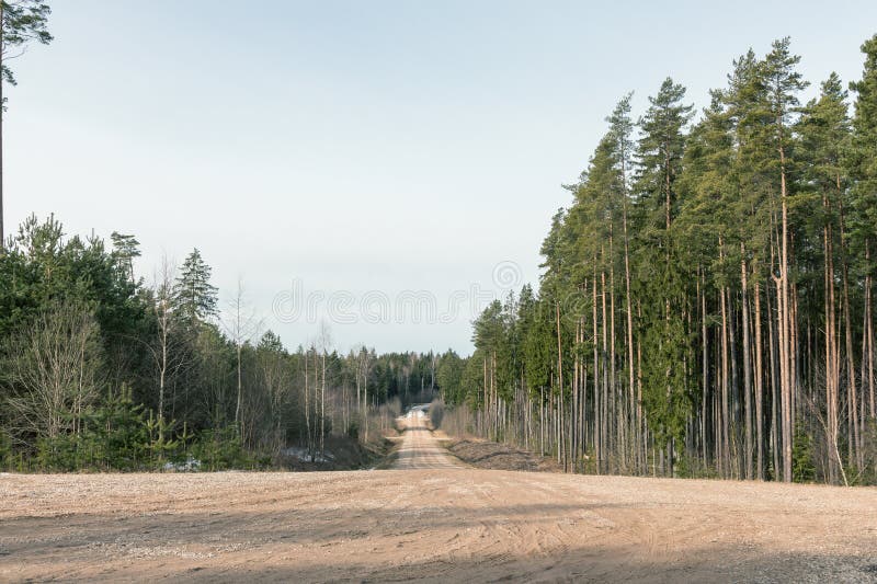Long Straight Road Running Forest Trees Either Side Stock Photos - Free ...
