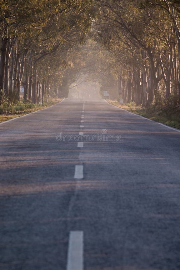 Long straight road stock photo. Image of empty, tunnel - 105998040