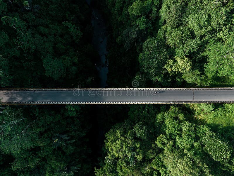 Long street in the bali stock photo. Image of nature - 208857662