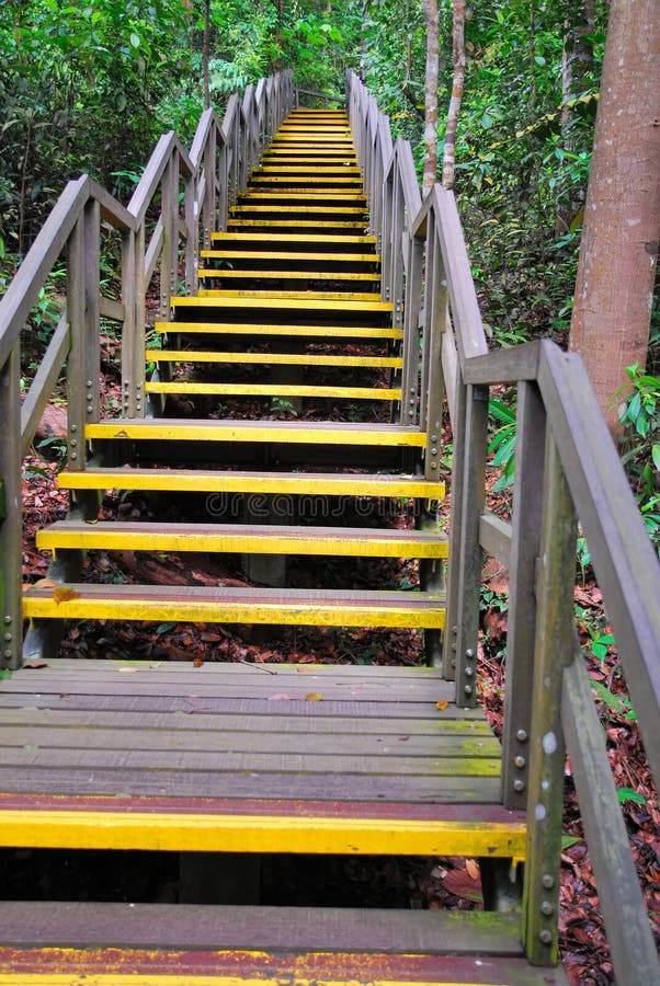 Long Stretch of Stairs Leading High Up Stock Photo - Image of climbing ...