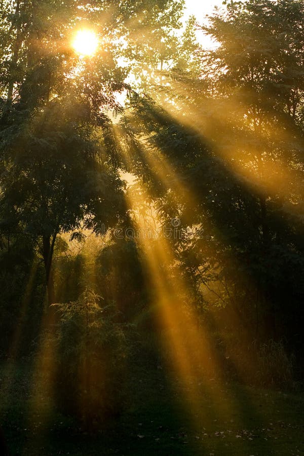 Long sun rays stock photo. Image of drama, glow, inspire - 6610878