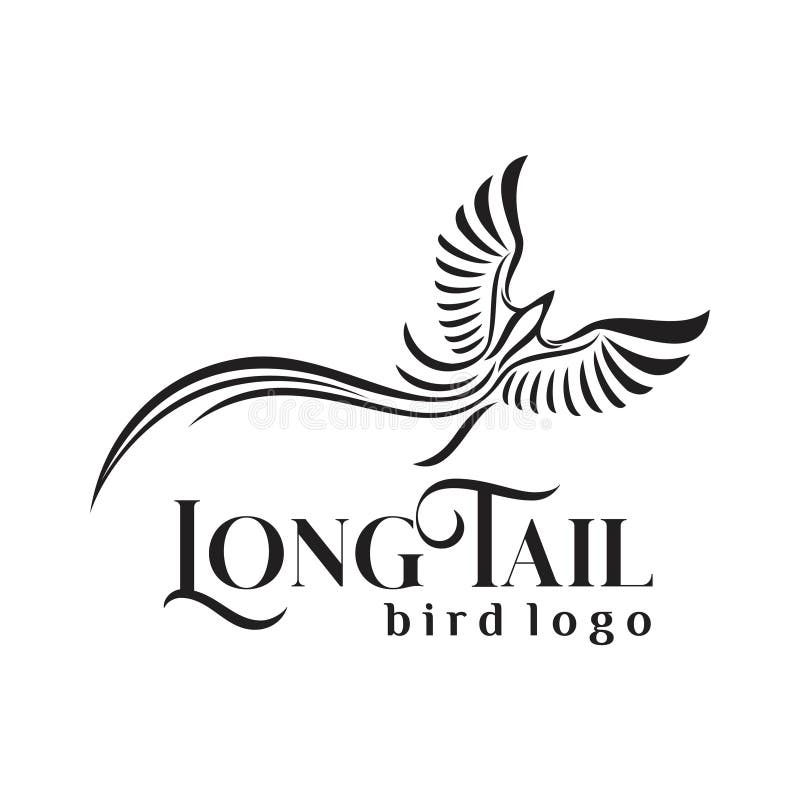 Black White Hummingbird Long Tail Stock Illustrations – 19 Black White ...