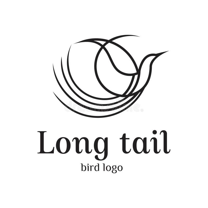 Black White Hummingbird Long Tail Stock Illustrations – 19 Black White ...