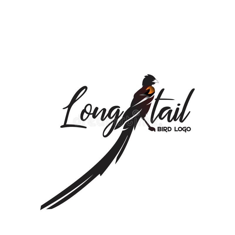 Black White Hummingbird Long Tail Stock Illustrations – 19 Black White ...