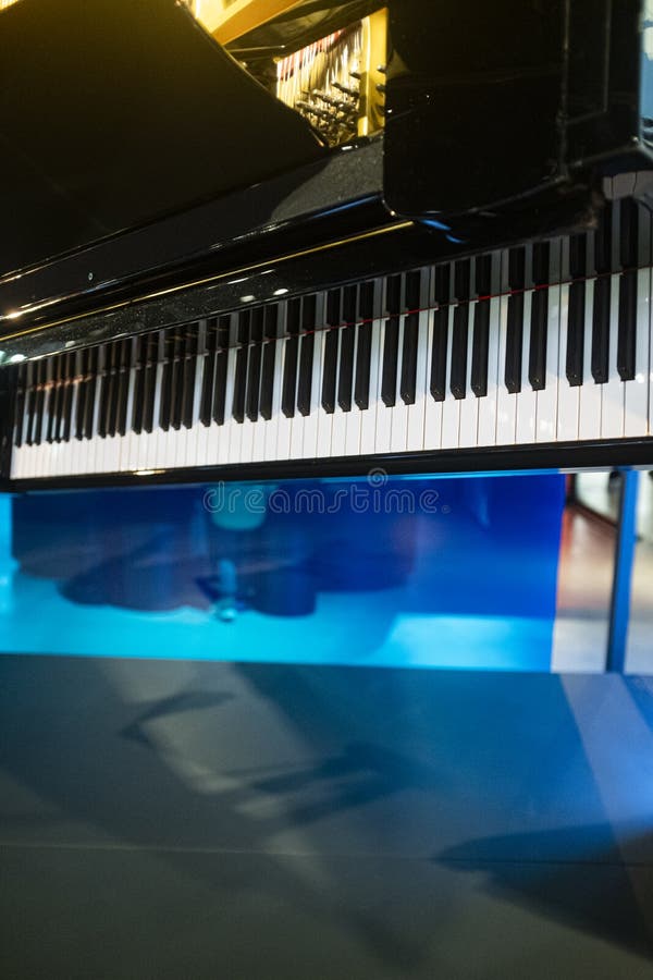 Long Tail Black Piano Keyboard Stock Image - Image of playful, keyboard ...