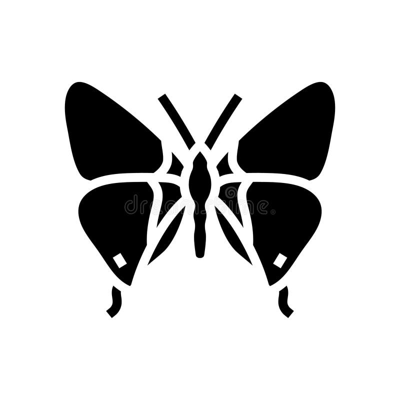 Long Tailed Blue Spring Glyph Icon Vector Illustration Stock ...