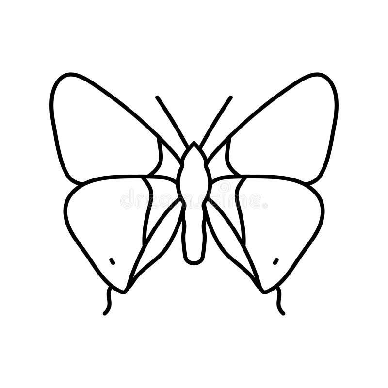 Long Tailed Blue Spring Line Icon Vector Illustration Stock ...