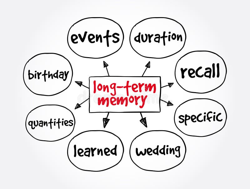 Long-term Memory Mind Map, Concept For Presentations And Reports Stock ...