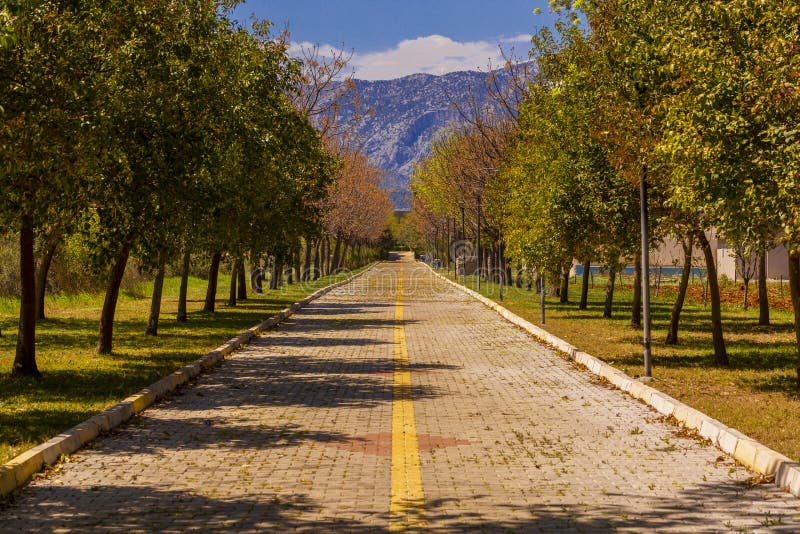 Long and Thin Cobblestone Road with Trees on Both Sides Stock Image ...