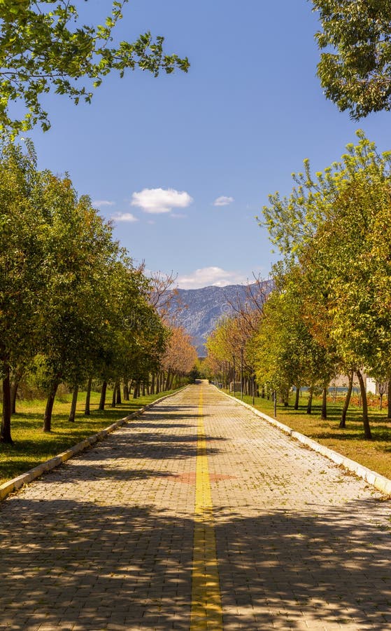 Long and Thin Cobblestone Road with Trees on Both Sides Stock Image ...