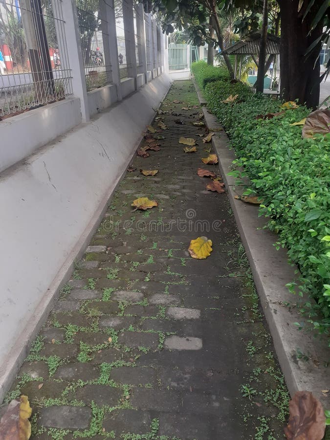 A long time a go street stock image. Image of unde, long - 190444979