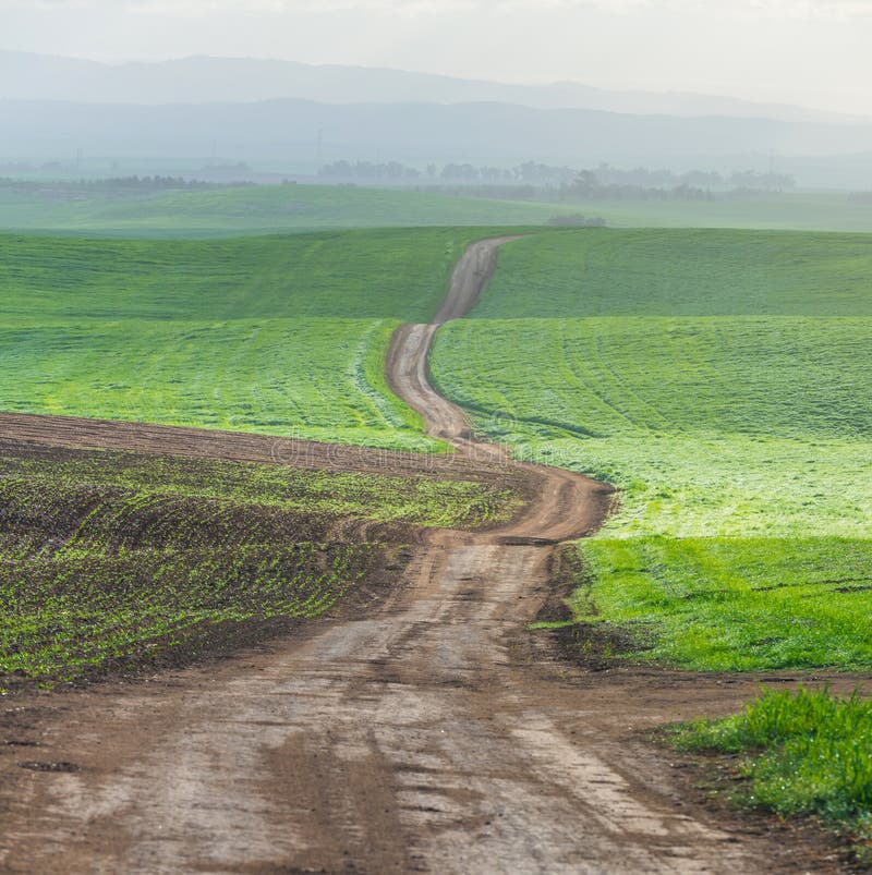 Long Trail through the Grassy Field Stock Image - Image of sidewalk ...