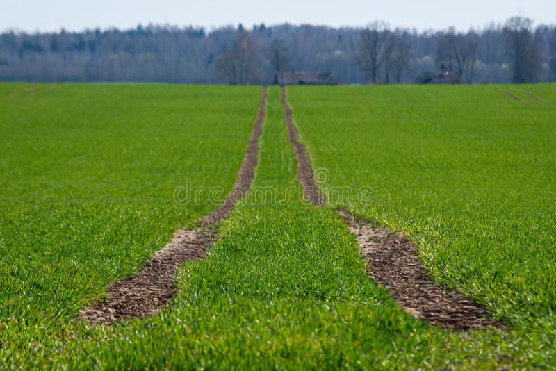 Long Trail of Tractor Tracks on a Green Field Stock Image - Image of ...