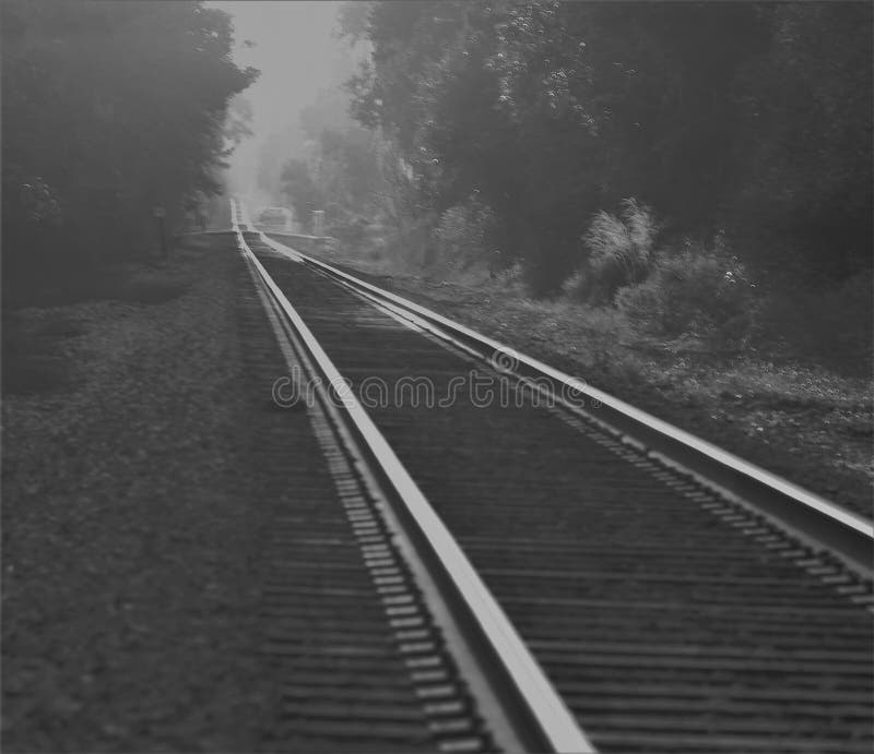 Long Train Tracks stock photo. Image of dusk, acronim - 281976358