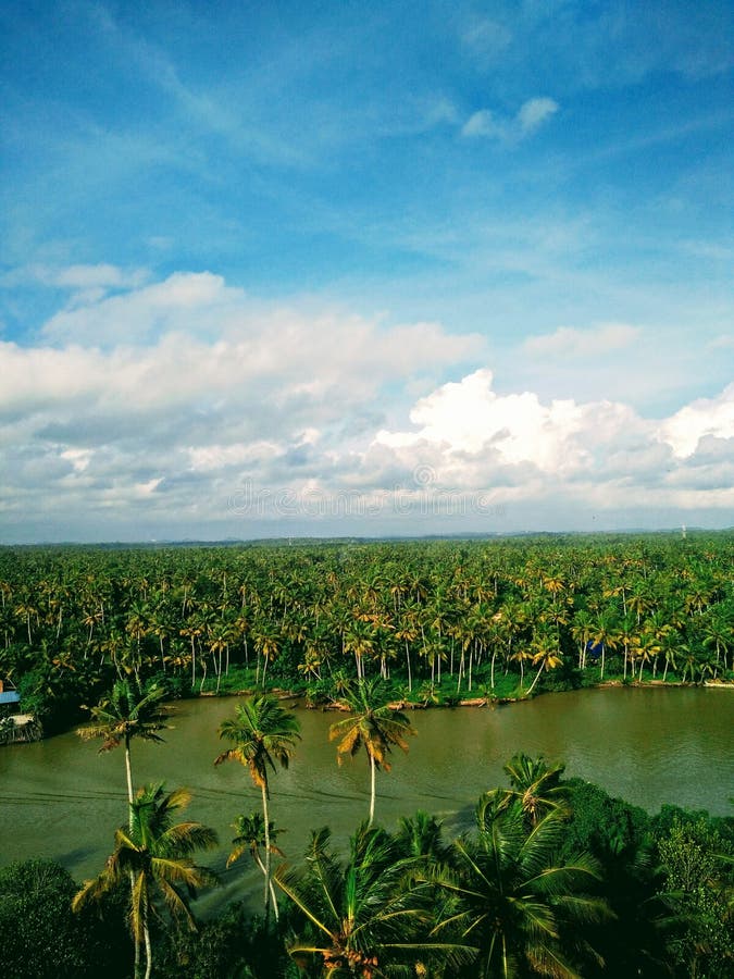 A long view stock image. Image of view, long, coconut - 100853401