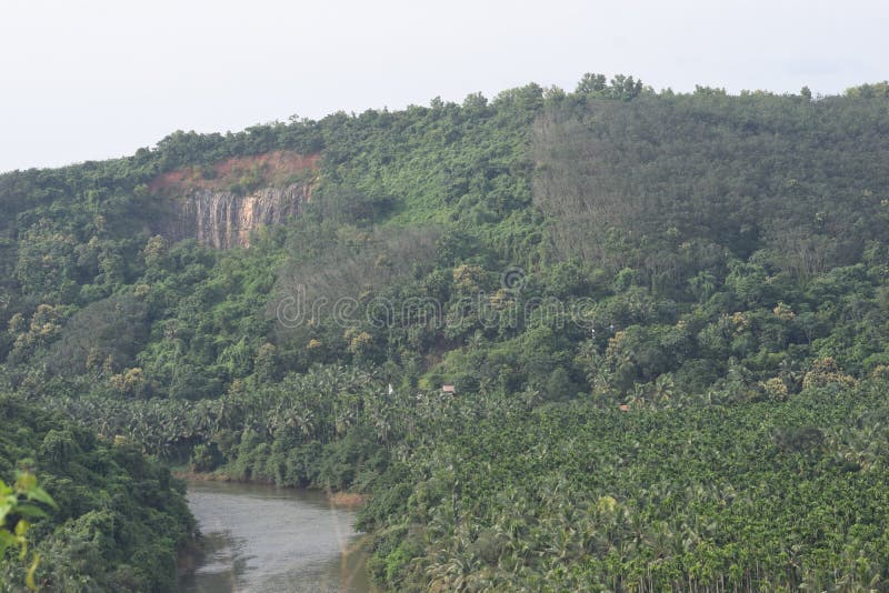 Long View of Greenery with River Stock Image - Image of spring, park ...