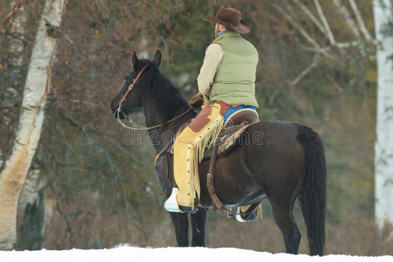 The long wait editorial image. Image of horse, hunting - 49564190