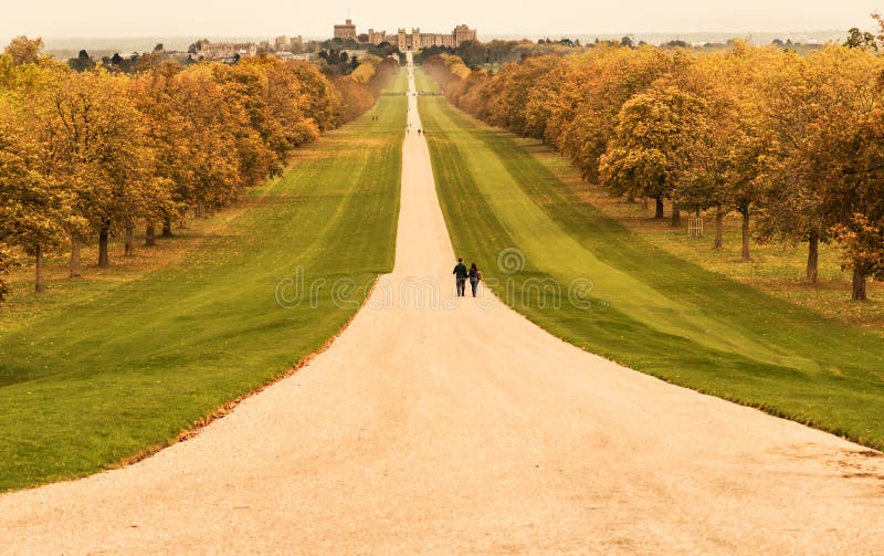 Windsor Great Park - the Long Walk Stock Image - Image of england ...